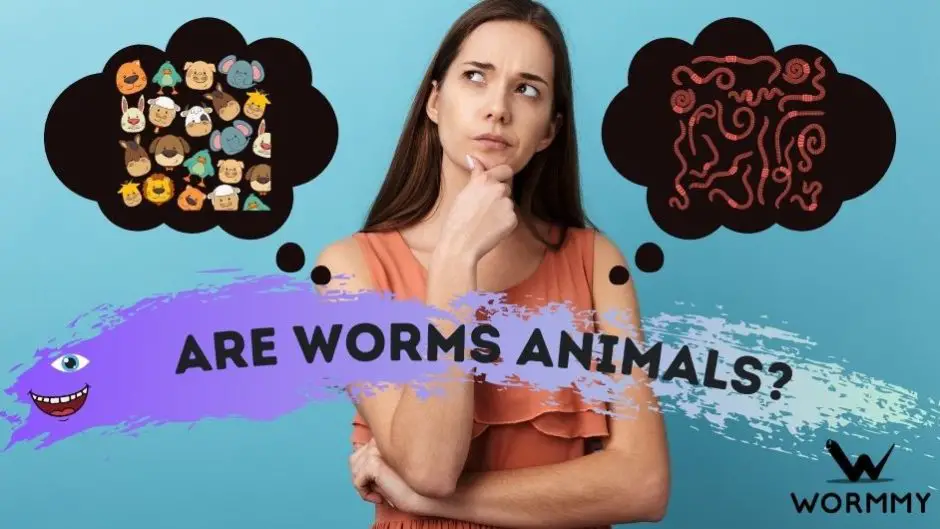 Worm Facts - [16 x Fun Facts For Kids & Adults All About Worms!]