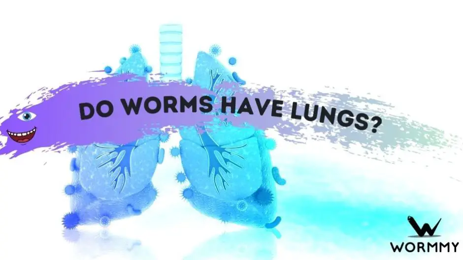 Worm Facts - [16 x Fun Facts For Kids & Adults All About Worms!]