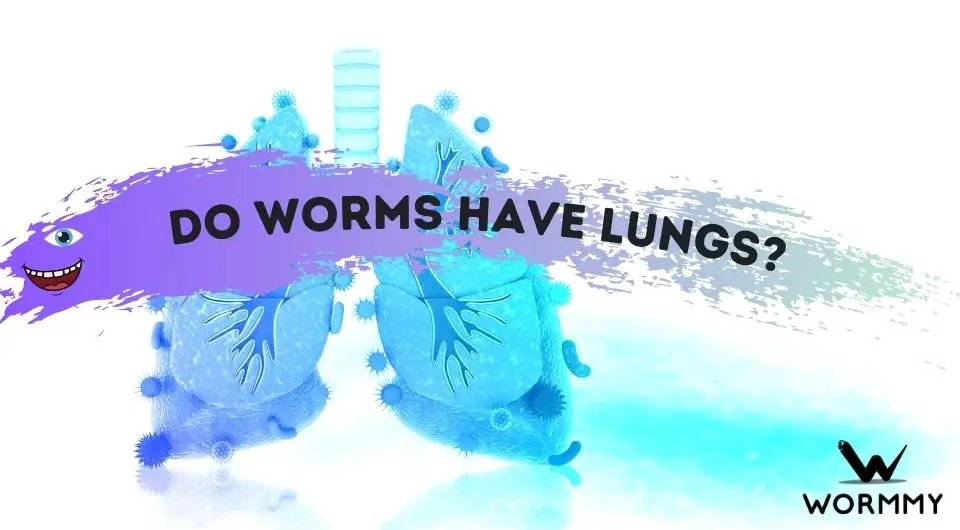 Do Worms Have Lungs? (How do Earthworms Breathe?)