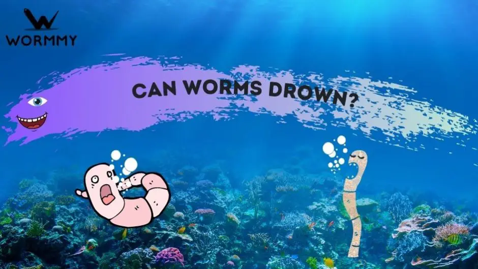 How To Get Rid Of Little Green Worms Hanging From Trees
