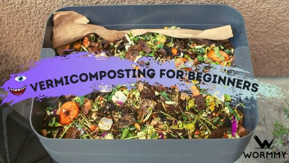 Vermicomposting for Beginners (Everything You Should Know)