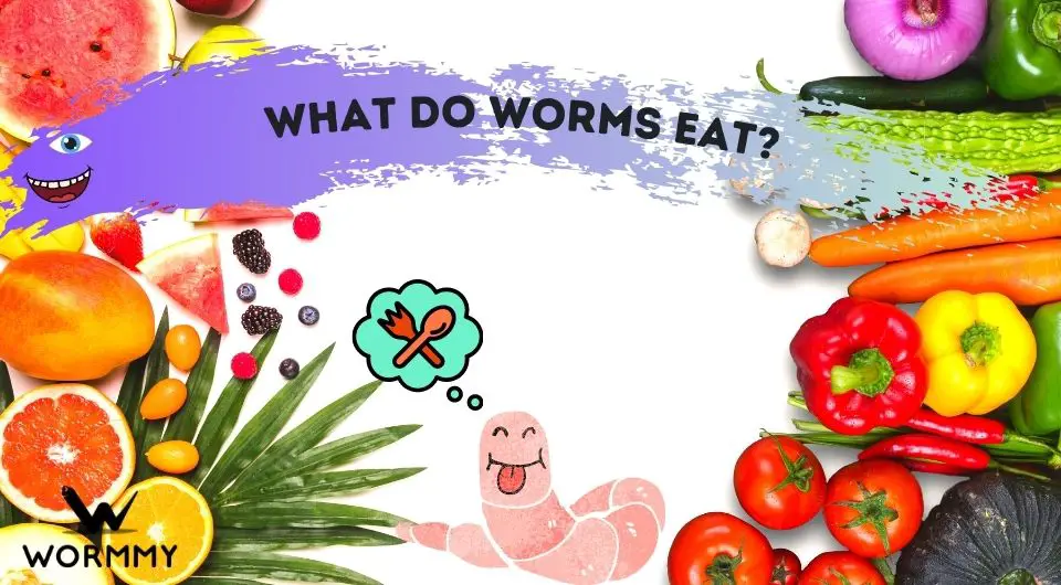 What Do Worms Eat? (The ULTIMATE Guide to Worm Food)