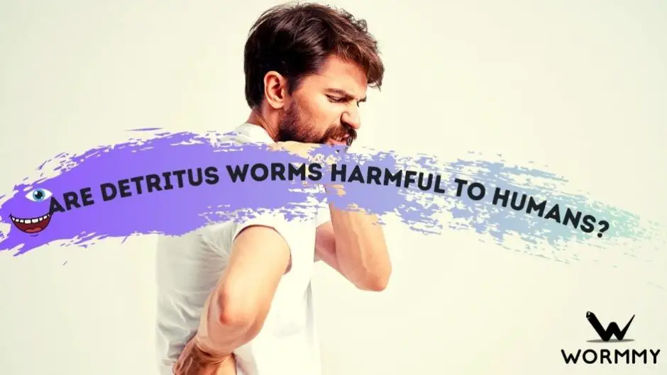 Worm Facts - [16 x Fun Facts For Kids & Adults All About Worms!]