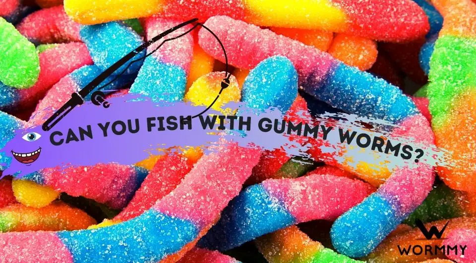 Can You Fish with Gummy Worms? (Myth or Good Bait?)