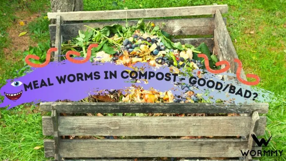 Worm Facts - [16 x Fun Facts For Kids & Adults All About Worms!]