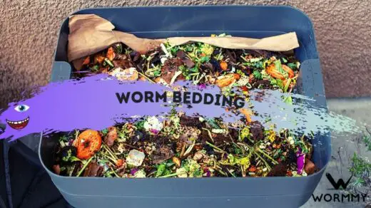 Worm Bedding - The Best Materials for Healthy, Happy Worms