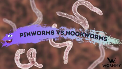 Pinworm Vs Hookworm Whats The Difference Are They Similar